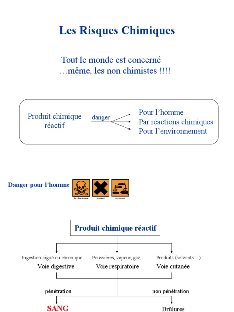 Risque Chimique | PDF | Chimie | La nature