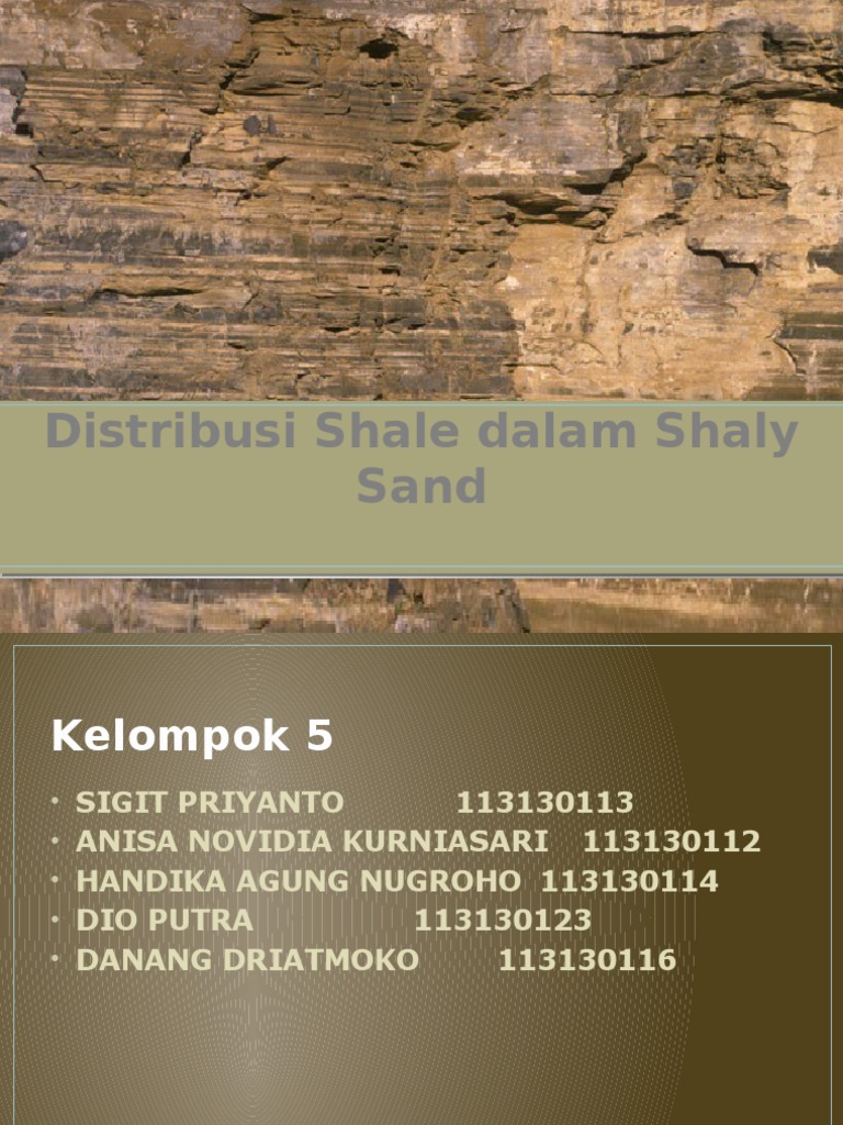The Shale Distribution in A Shaly Sand Rock | PDF