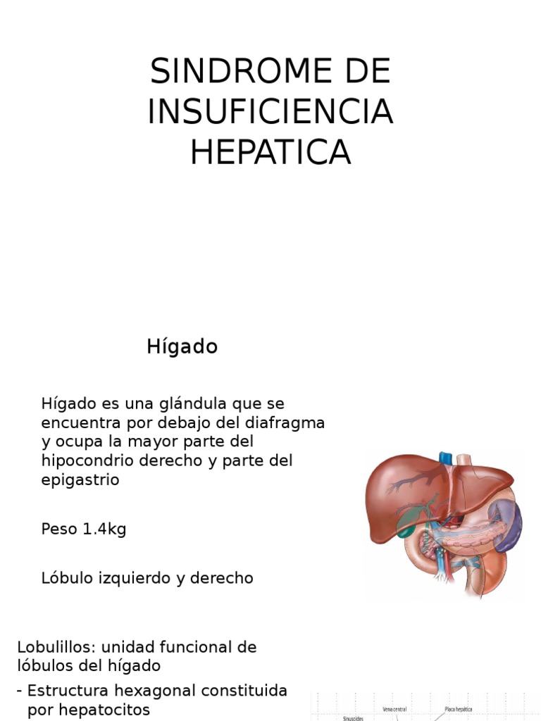 Insuficiencia Hepática: Causas, Síntomas y Tratamiento | PDF | Cirrosis ...