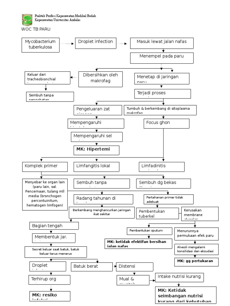 Woc TB Paru | PDF