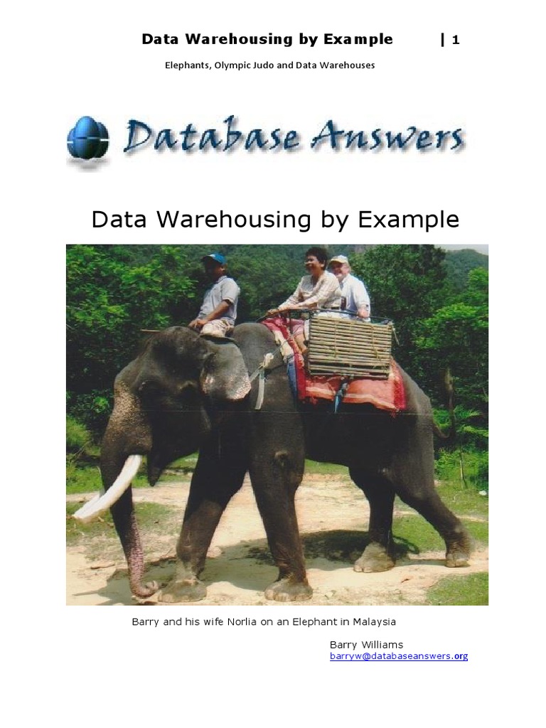 Data Warehousing by Example | PDF | Data Warehouse | Cloud Computing