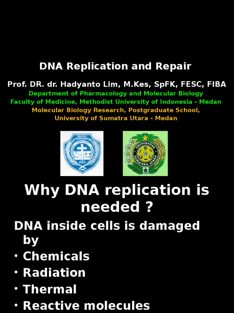 DNA Replication and Repair | PDF | Dna | Macromolecules