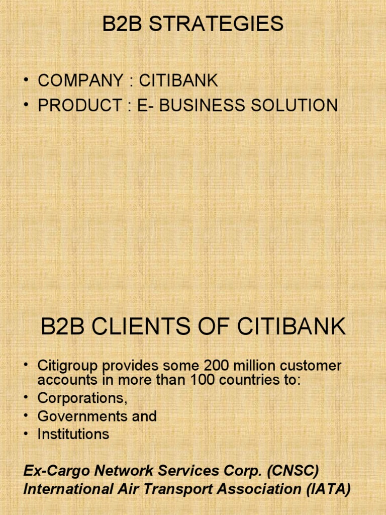 B2B Strategies of CITI Bank | PDF