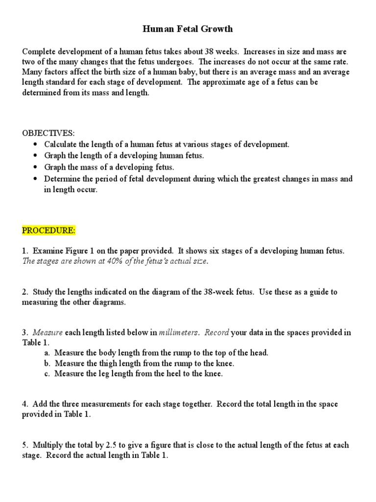 Human Fetal Growth Lab | PDF | Fetus | Prenatal Development