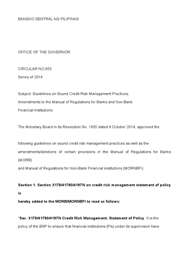 Bsp-Credit Risk Management | PDF | Loans | Credit (Finance)
