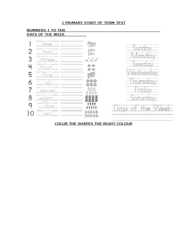 1 Primary Start of Term Test | PDF