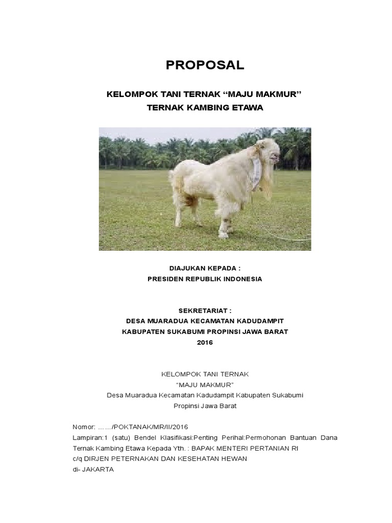 Proposal Kambing | PDF