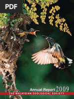 Subject Enrichment Activity Social Science: Endangered Species | PDF ...