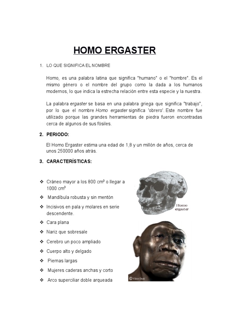 Homo Ergaster | PDF | Homo | Herramientas