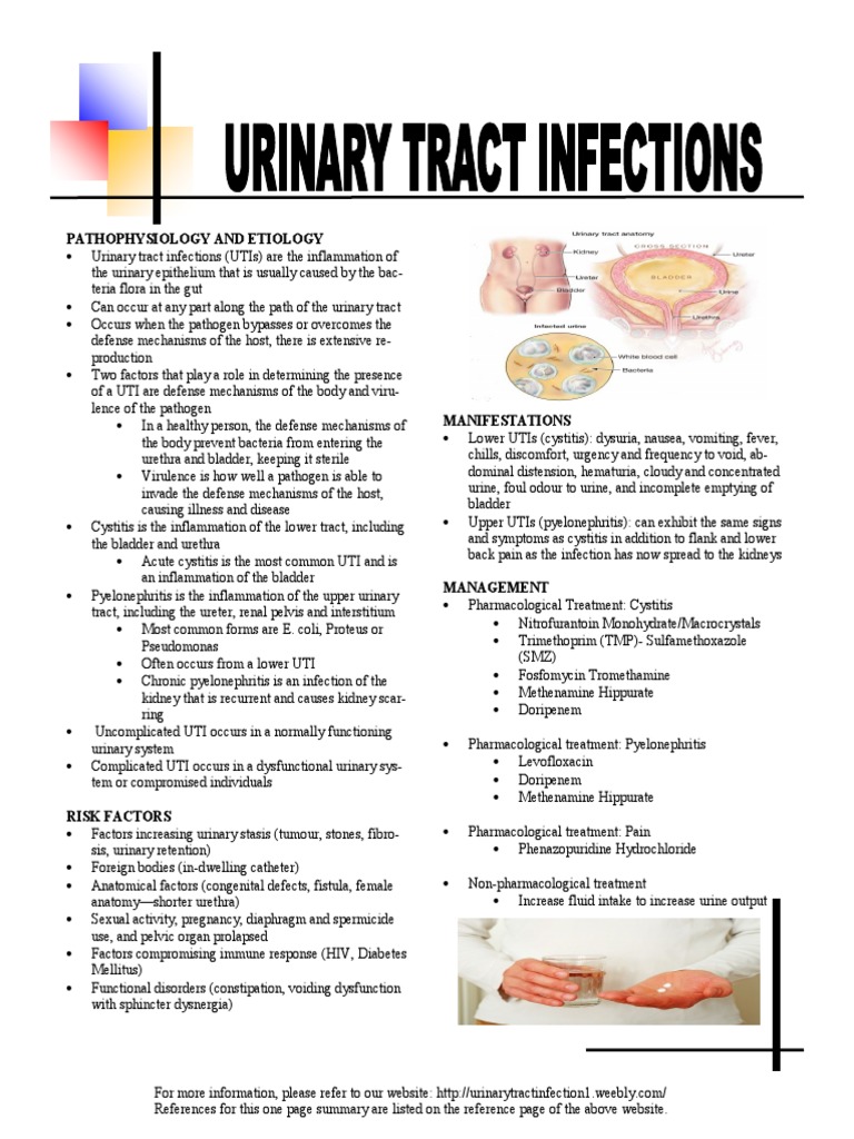 Handout 2 | PDF | Urinary Tract Infection | Urinary System