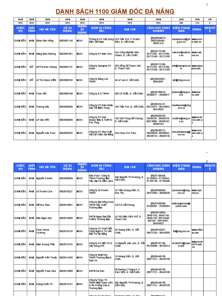 DS 1100 Giam Doc Da Nang | PDF