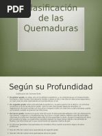 Regla de Wallace | PDF | Anatomía humana | Anatomía de los primates