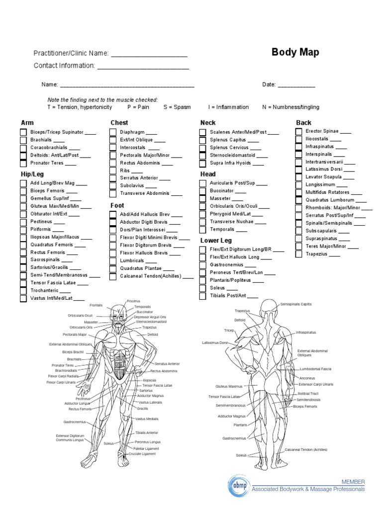 Body Map | PDF | Musculoskeletal System | Soft Tissue