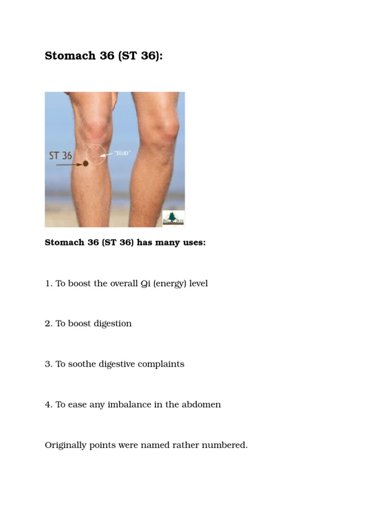 Stomach 36 | PDF