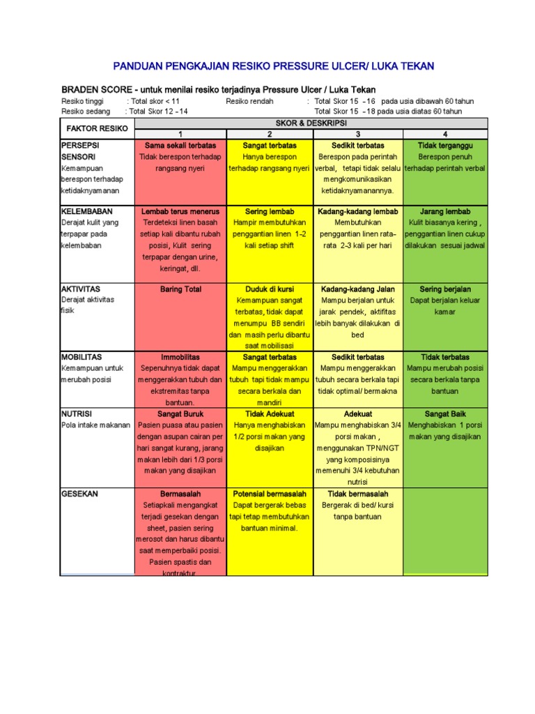 Braden Scale Baru | PDF