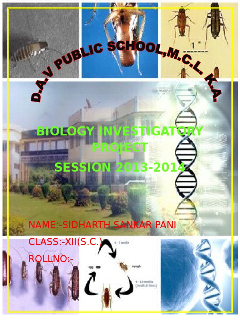 Biology Investigatory Project, Xii, Cbse On Insects | PDF
