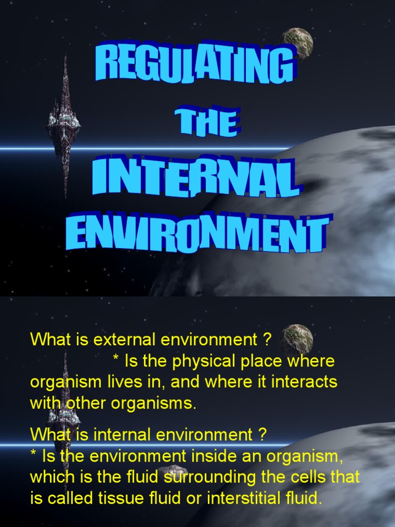 Regulating The Internal Environment | PDF | Homeostasis | Blood