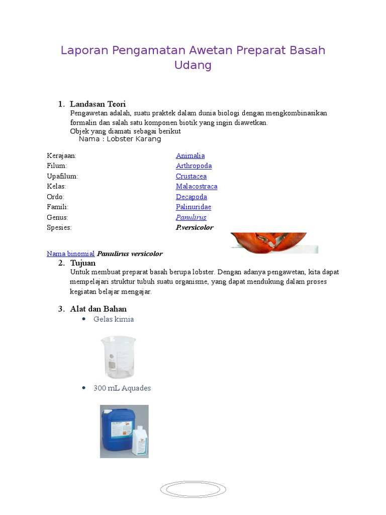 Laporan Pengamatan Awetan Preparat Basah Kodok | PDF
