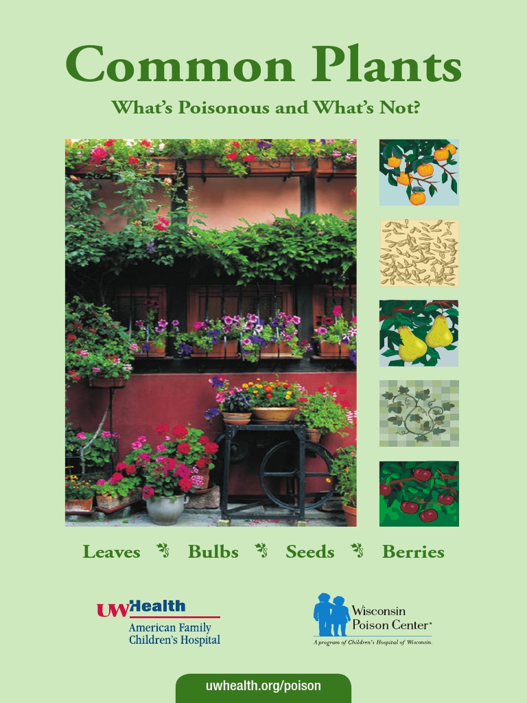 Poisonous Plants | PDF | Nausea | Toxicity