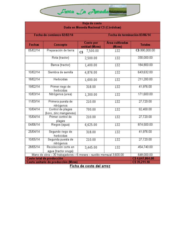 Fichas de Costos | PDF