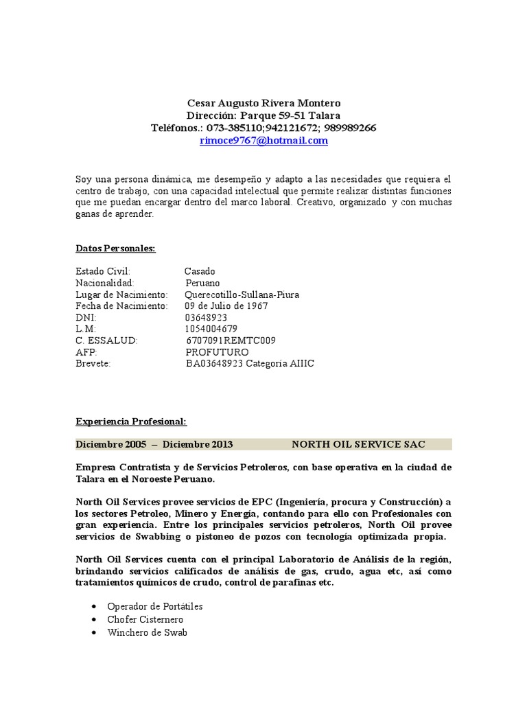 CV de Cesar Augusto Rivera Montero | PDF | Petróleo | Science