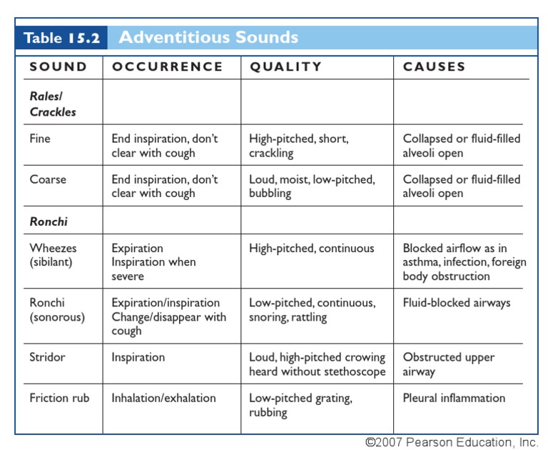 Adventitious Breath Sounds | PDF | Respiratory Tract | Exhalation