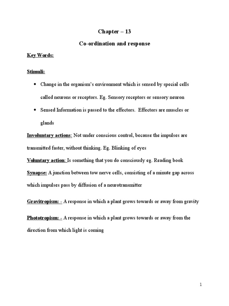 Coordination and Response IGCSE Notes | PDF | Neuron | Axon