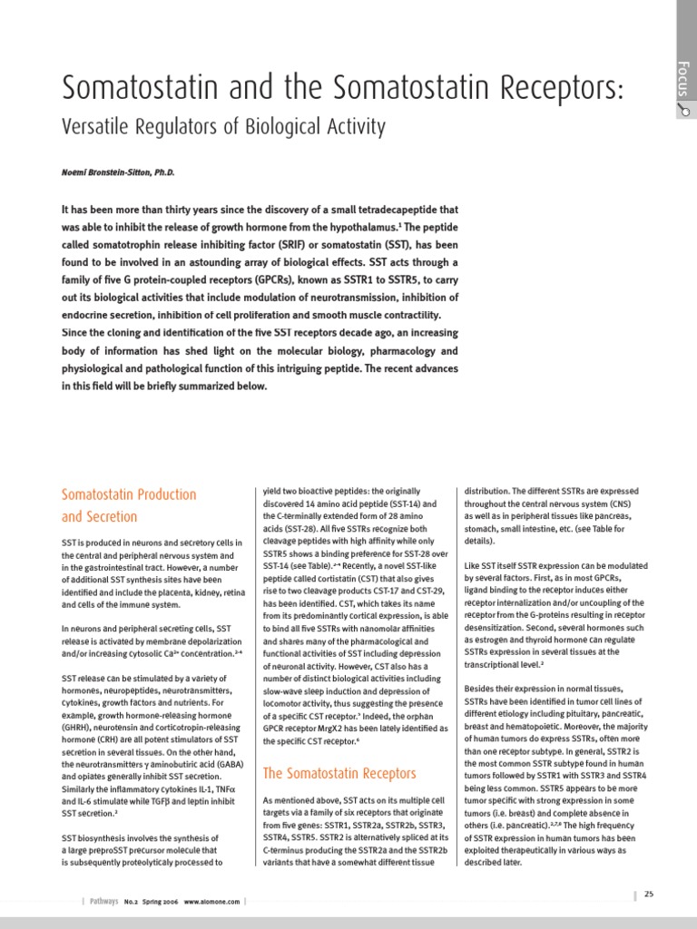 Somatostatin Production and Functions | PDF