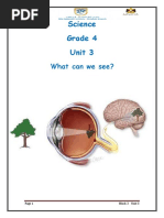 t3 SC 522 ks3 The Human Eye Homework Activity Sheet - Ver - 1 | PDF ...