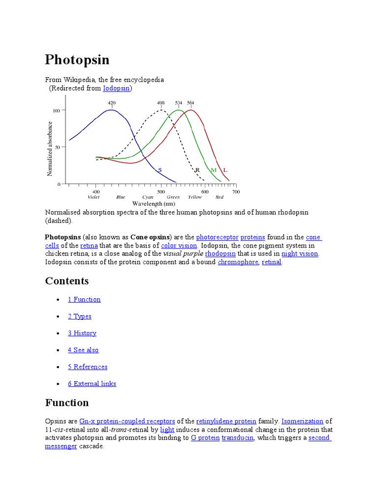Photopsin: The Basis of Color Vision | PDF | Retinal | Receptors