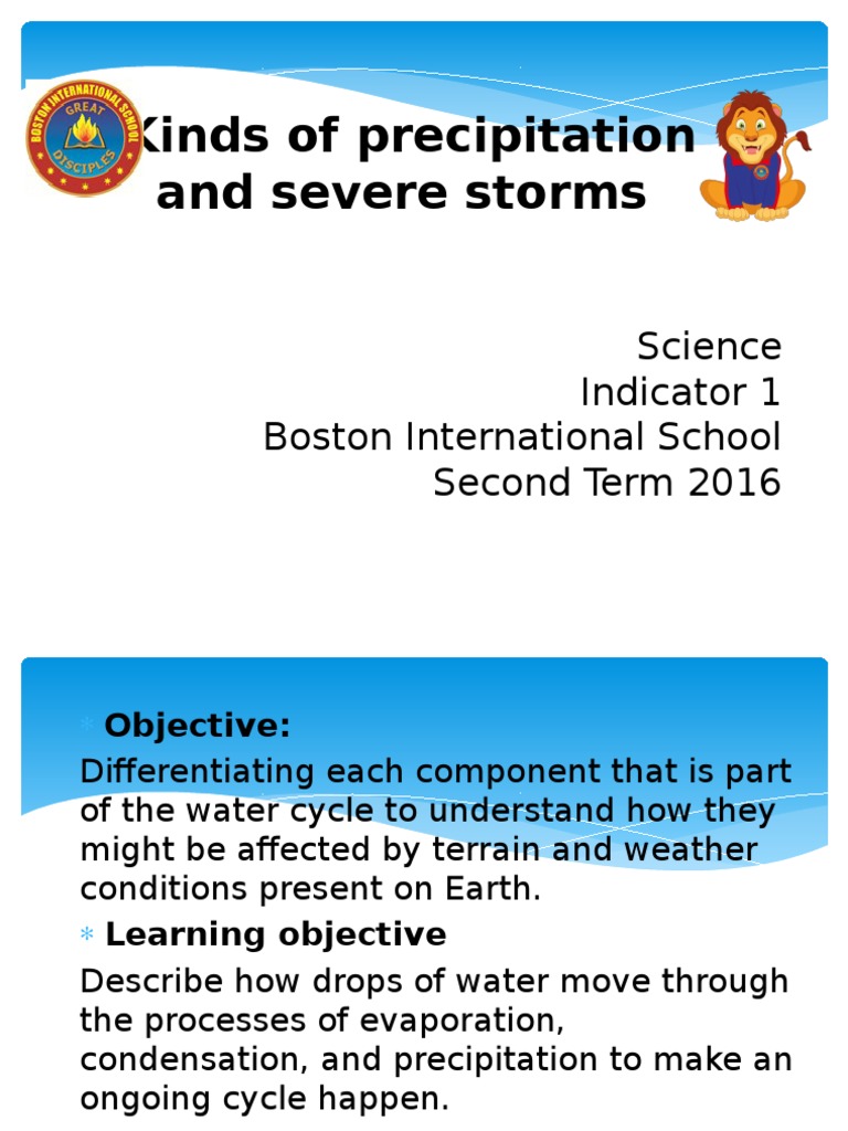 Step 4 Science Kinds of Precipitation | PDF