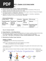 Lesson Plan Circulatory System | PDF | Circulatory System | Artery