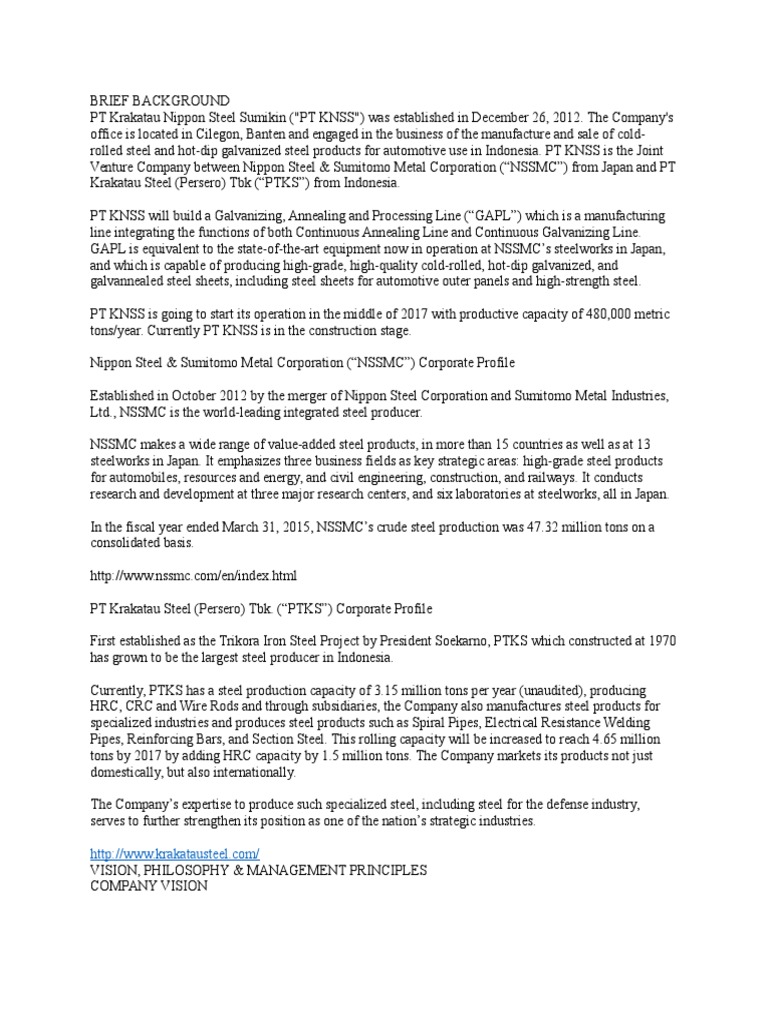 Knss | PDF | Galvanization | Manmade Materials