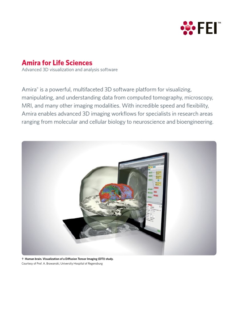 Amira For Life Sciences Brochure | PDF | Medical Imaging | Imaging