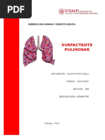 Neumocitos: Tipos y Funciones | PDF | Pulmón | Biología Celular