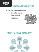 BTEC Sport Level 3 Revision Guide Muscular System | PDF