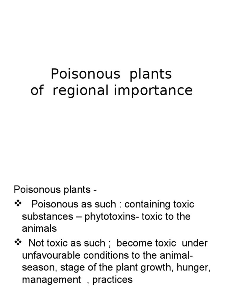Common Plants Poisonous To Livestock | PDF | Oat | Poison