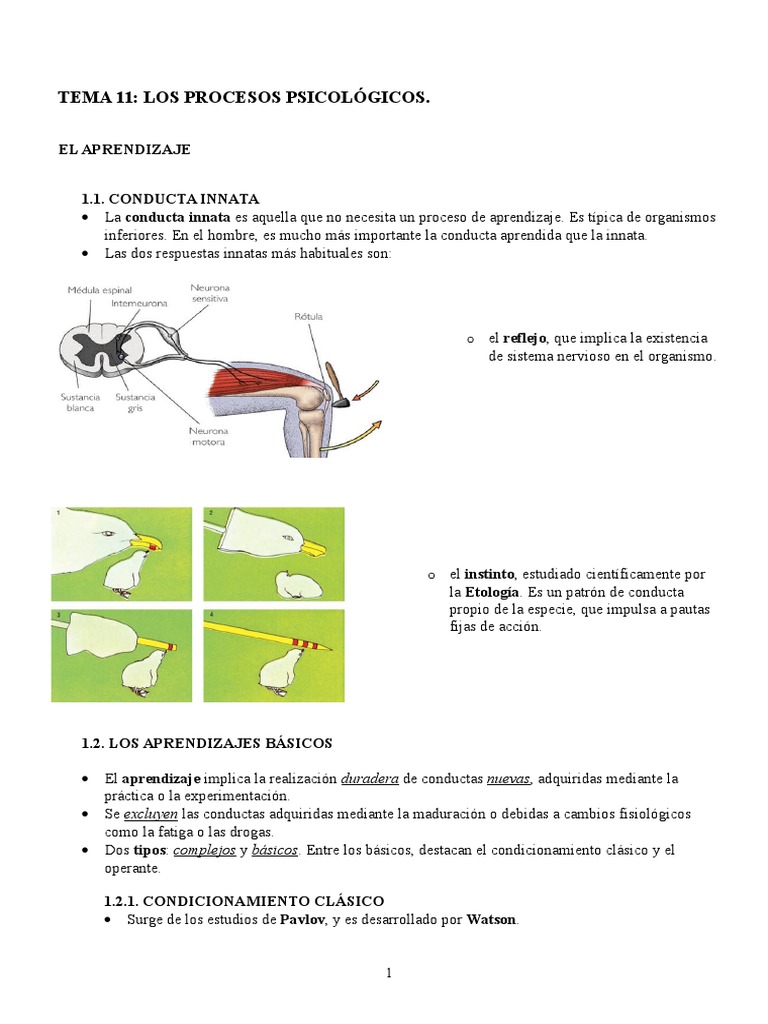 Esquema Procesos Psicológicos | PDF