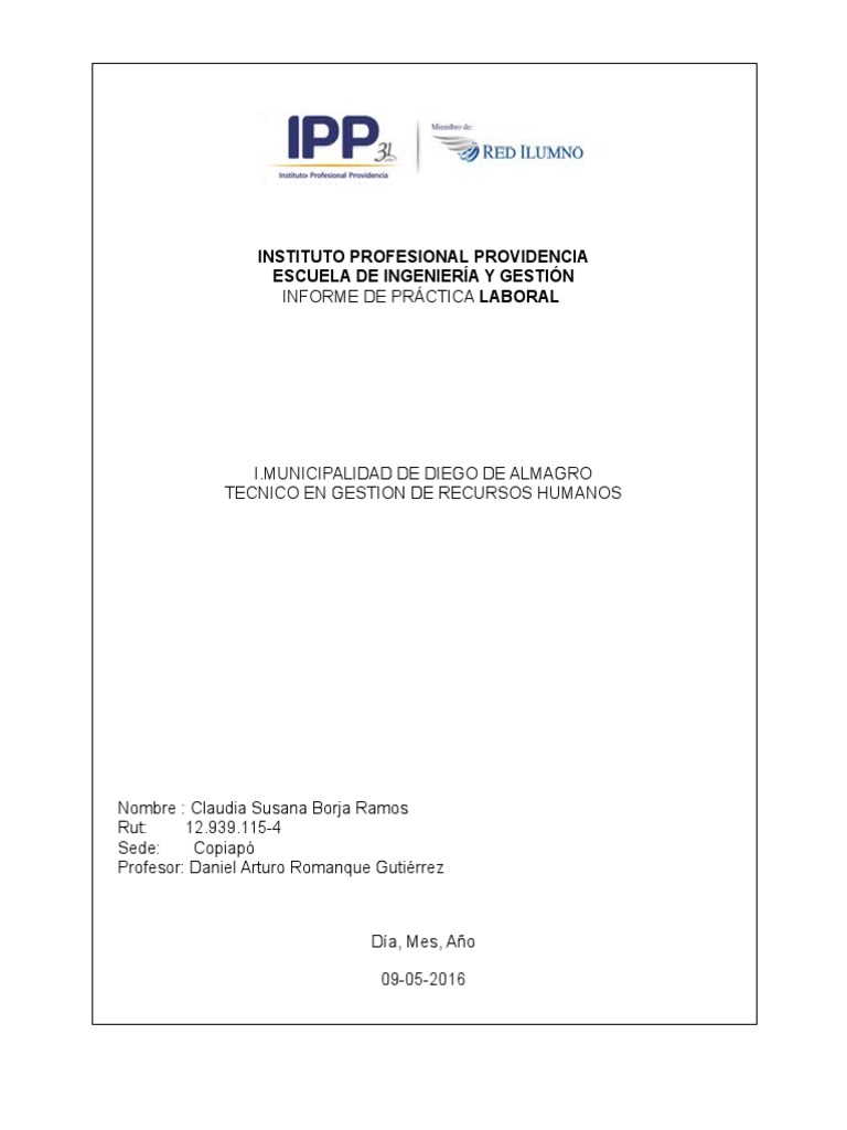 Informe Practica 2015 IPP | Alcalde | Presupuesto