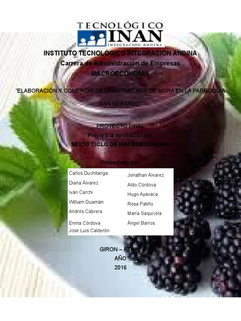 Proyecto Mermelada Listo | PDF | Recursos humanos | Mercado (economía)