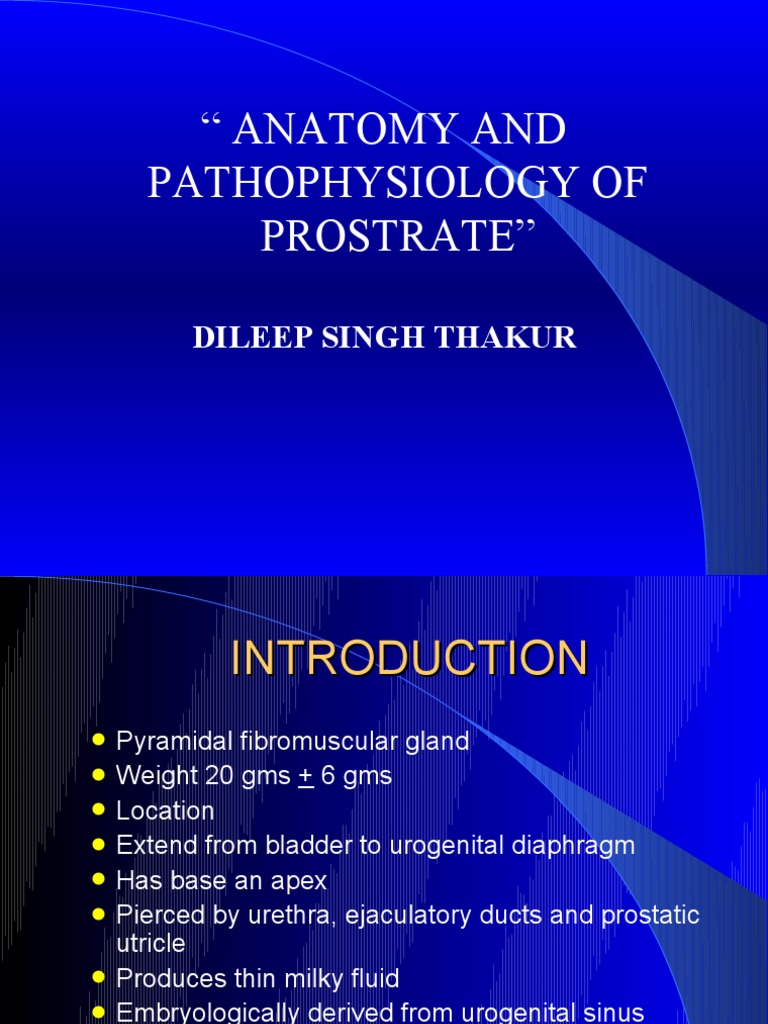 Prostate Anatomy and Pathophysiology | PDF | Prostate | Prostate ...