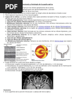 Cápsula de Tenon: Anatomía y Tenonitis | PDF | Ojo humano | Ojo