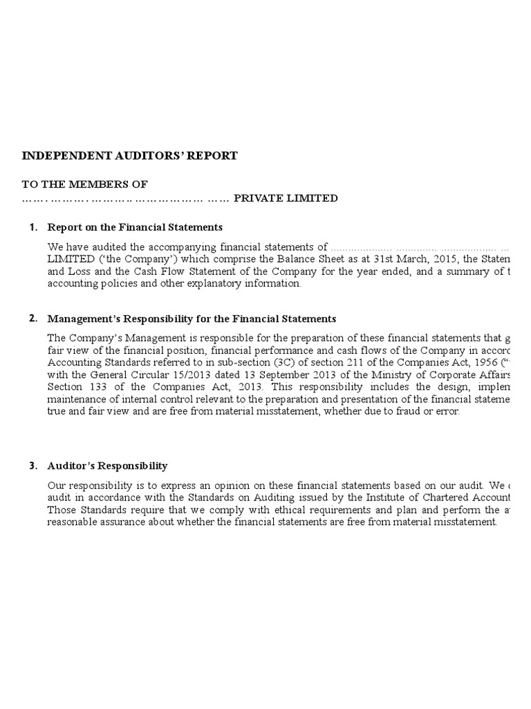 Audit Report Caro in Excel | PDF | Financial Audit | Audit