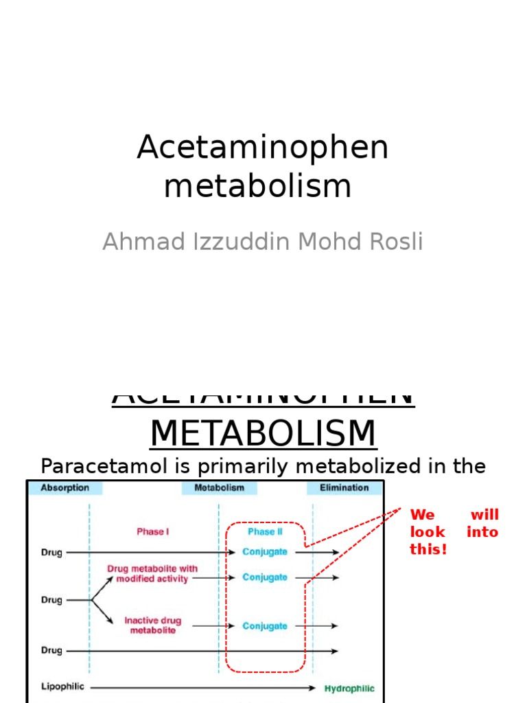 9.Pcm Metabolism | PDF | Drug Metabolism | Glutathione