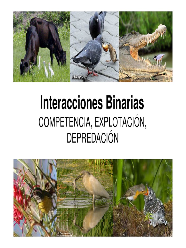 Competencia y Explotación | Predation | Community Ecology