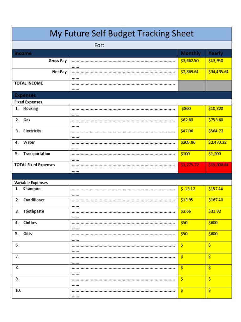 Future Self Budget Tracking Sheet | PDF