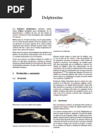 Texto Expositivo Sobre LOS DELFINES | PDF