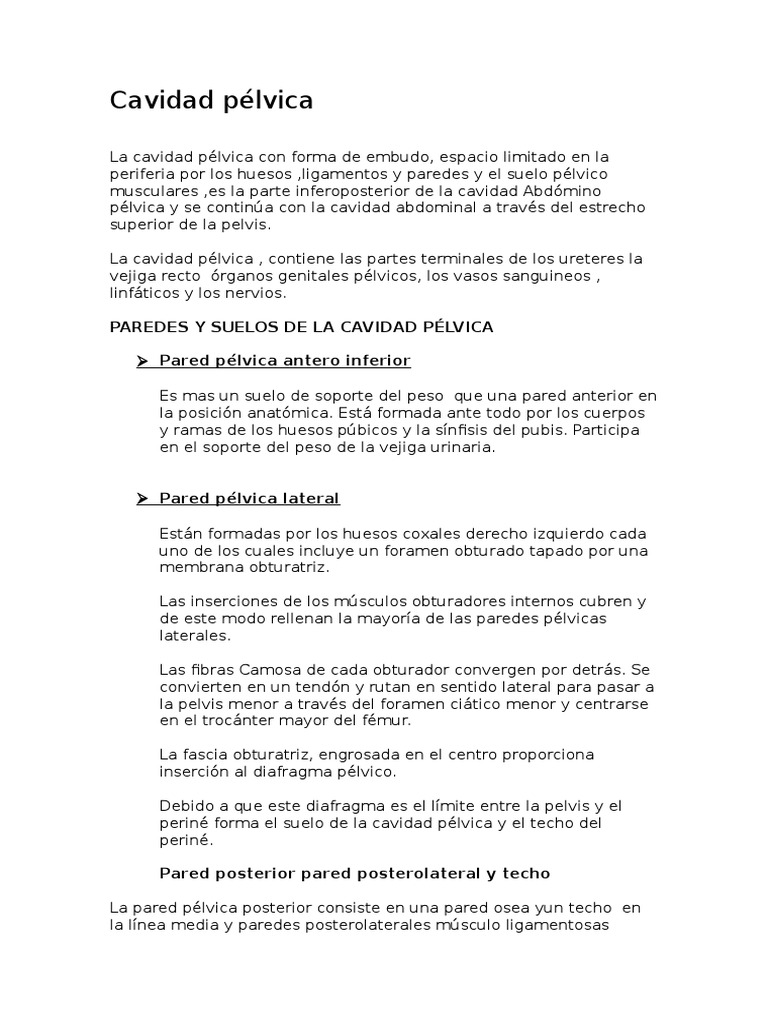 Cavidad Pélvica Pdf Pelvis Sistema Esquelético