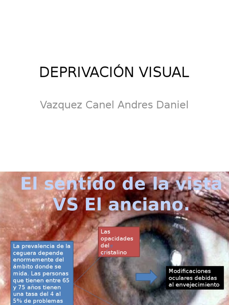 Deprivación Visual | PDF