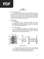 Thorax PA, AP Dan Lateral, RLD Dan LLD | PDF